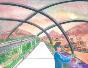 NSS Roadmap to Space Art Contest: 2024 Winners – NSS